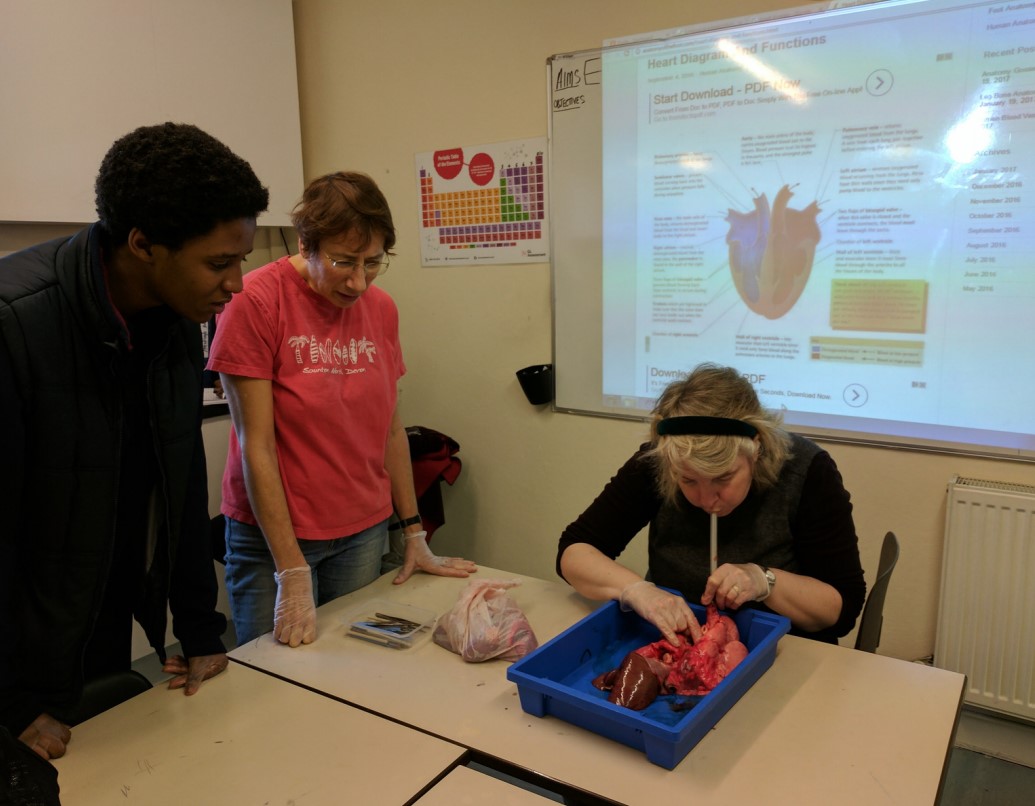 Welcome to London Brookes College | Private Sixth Form College London